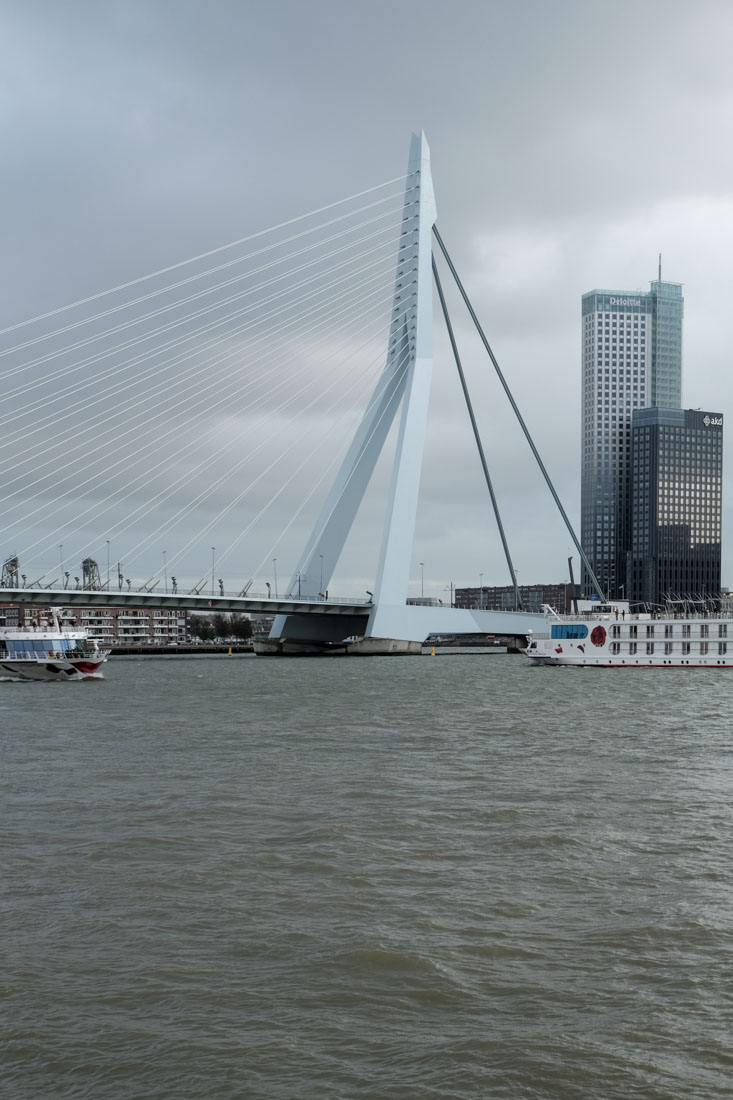 www.archipicture.eu - UN Studio - Erasmus Bridge Rotterdam